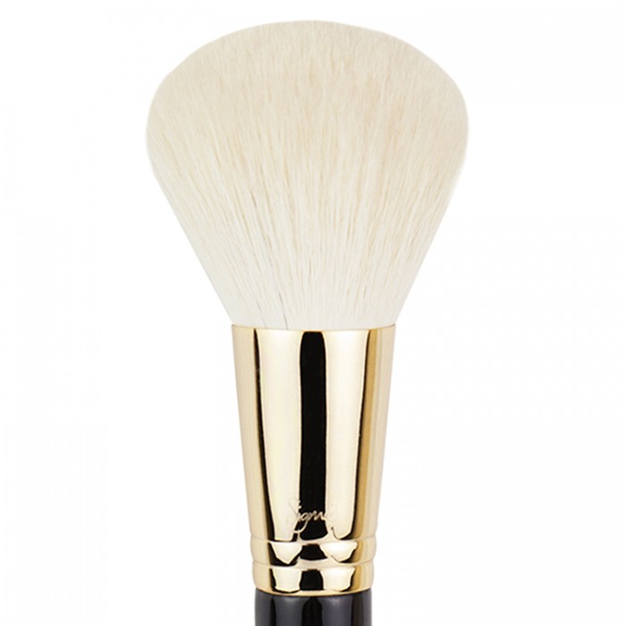 Sigma Beauty F95 - Powder - 18K Gold
