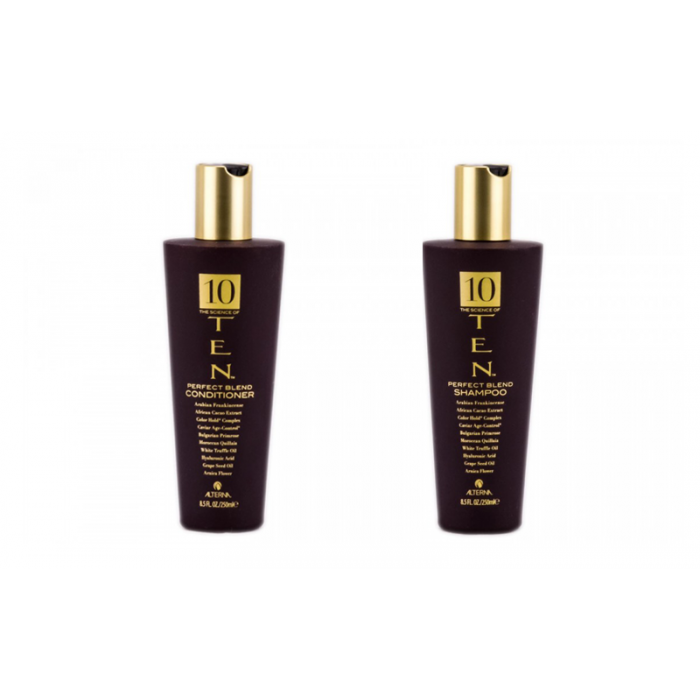 Alterna The Science of Ten Perfect Blend Shampoo And Conditioner Duo (8 ...